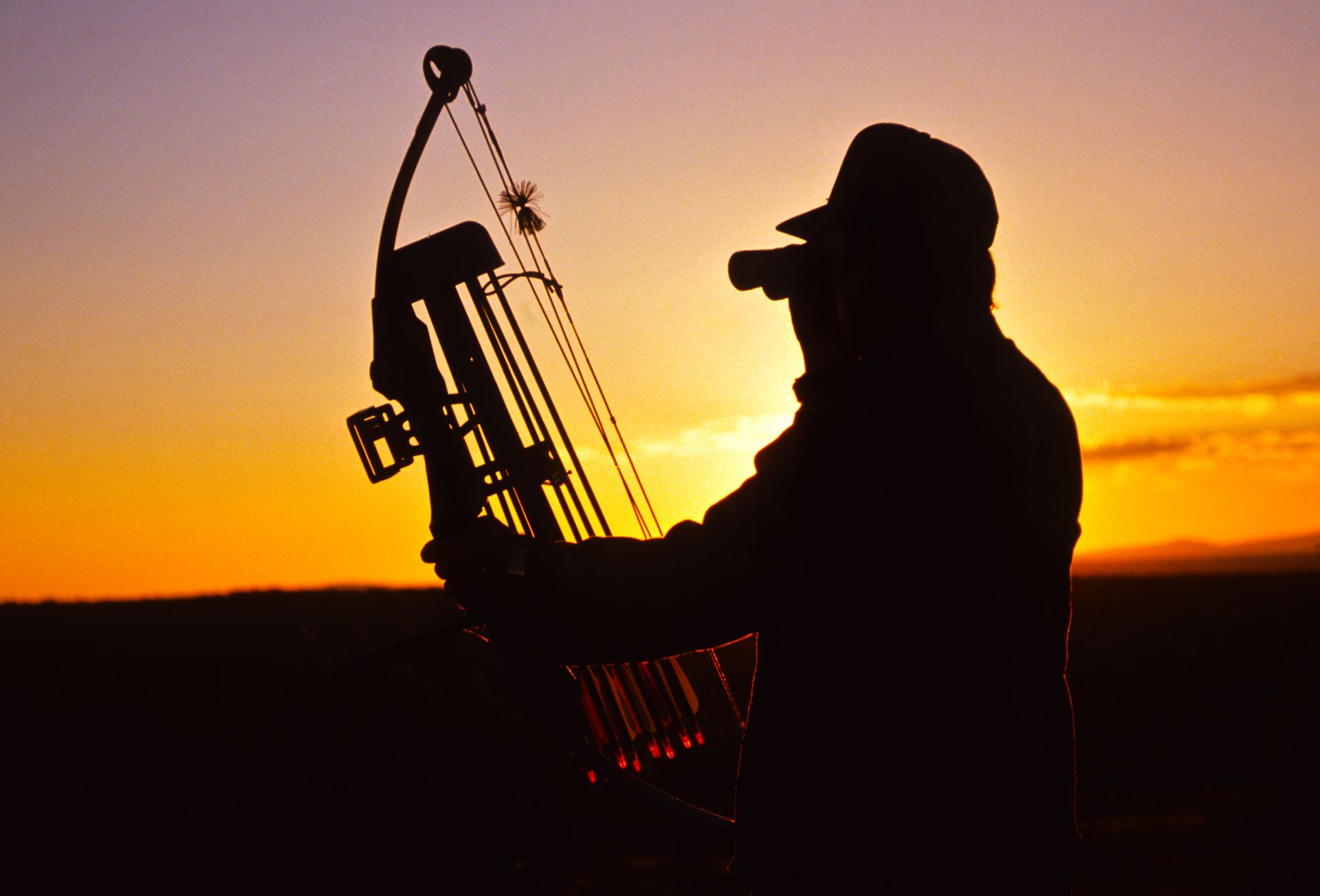 Yellowstone Armory. Yellowstone Armory | Firearms, Parts & Shooting ...